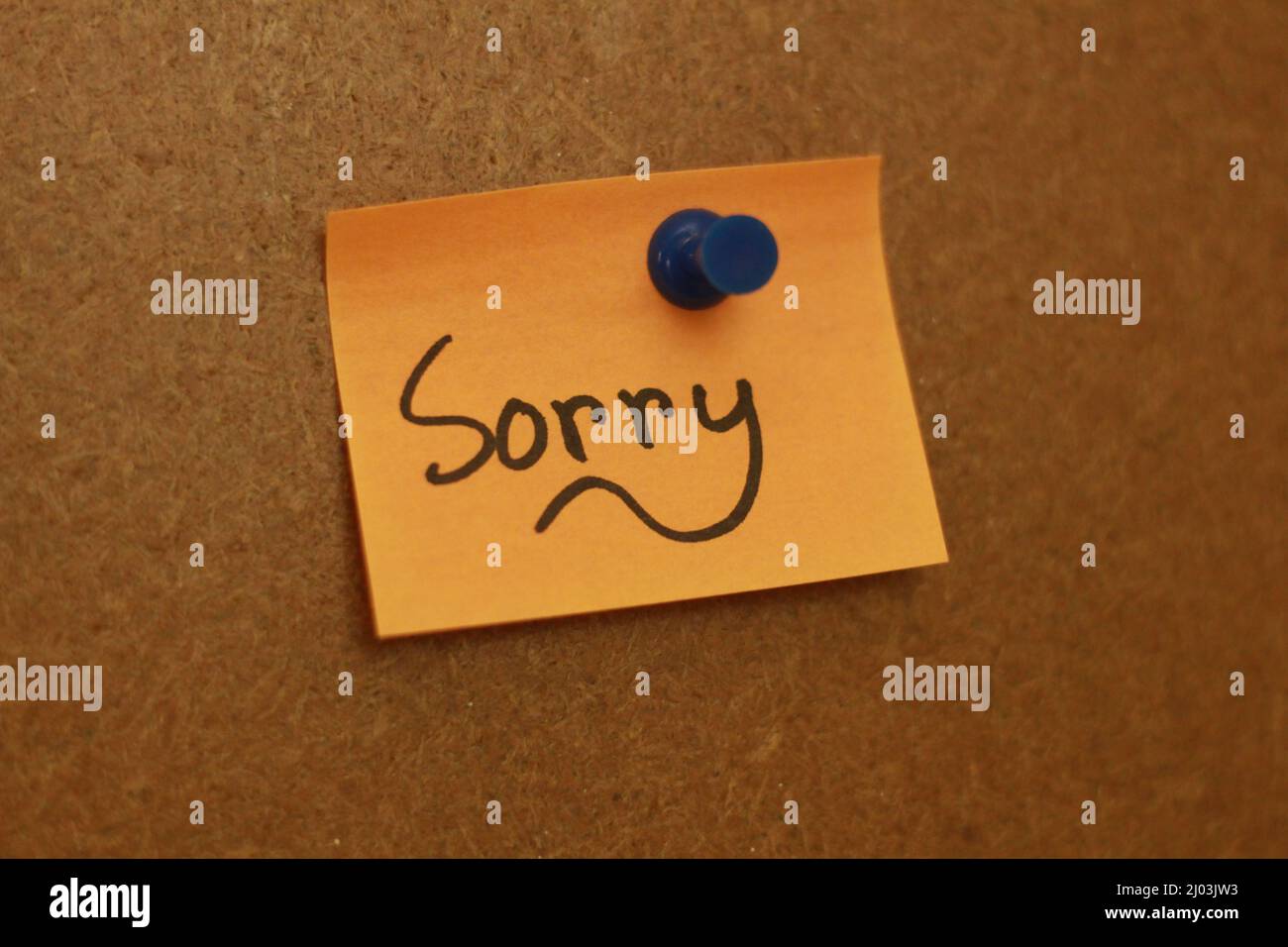Sorry text written on sticky note concept designed with woman hand ...