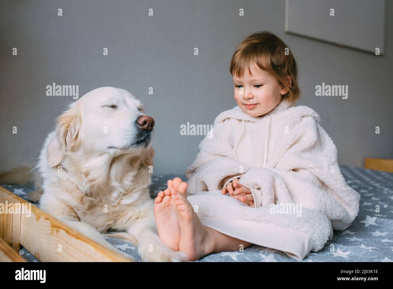Cute baby and his labrador retriever at home on the bed Stock Photo - Alamy