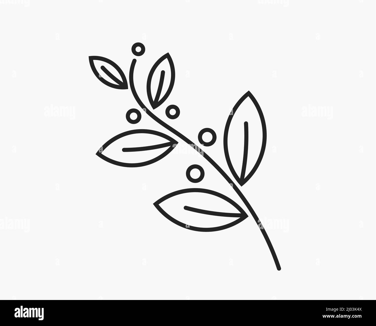 Botanic illustration fruit Black and White Stock Photos & Images - Alamy