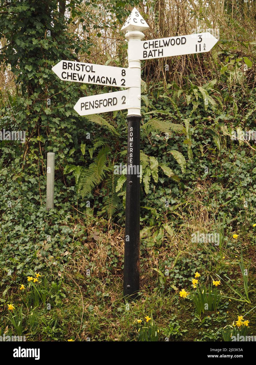 Traditional road sign at Stanton Drew, Somerset as early daffodils ...