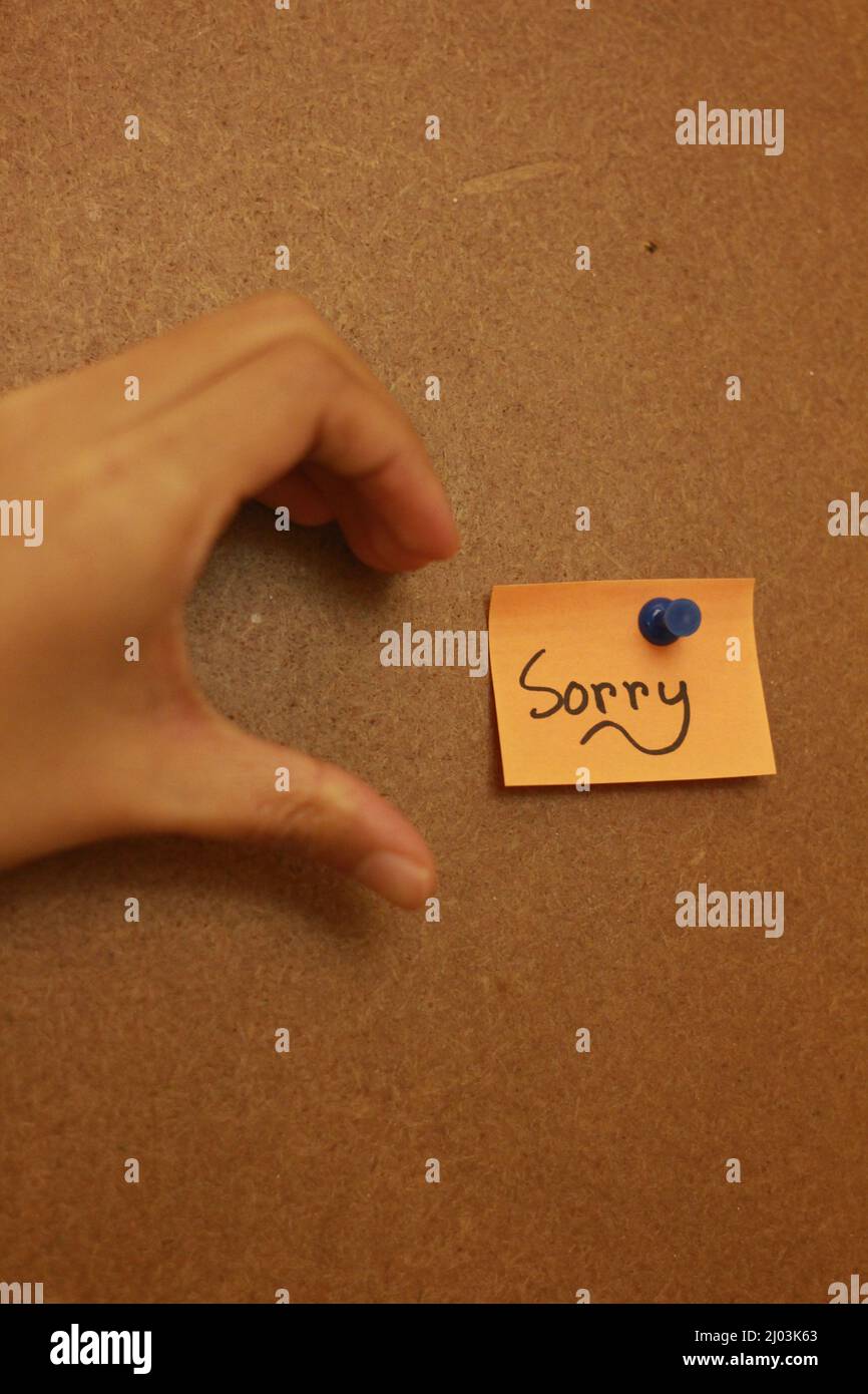 Sorry text written on sticky note concept designed with woman hand ...