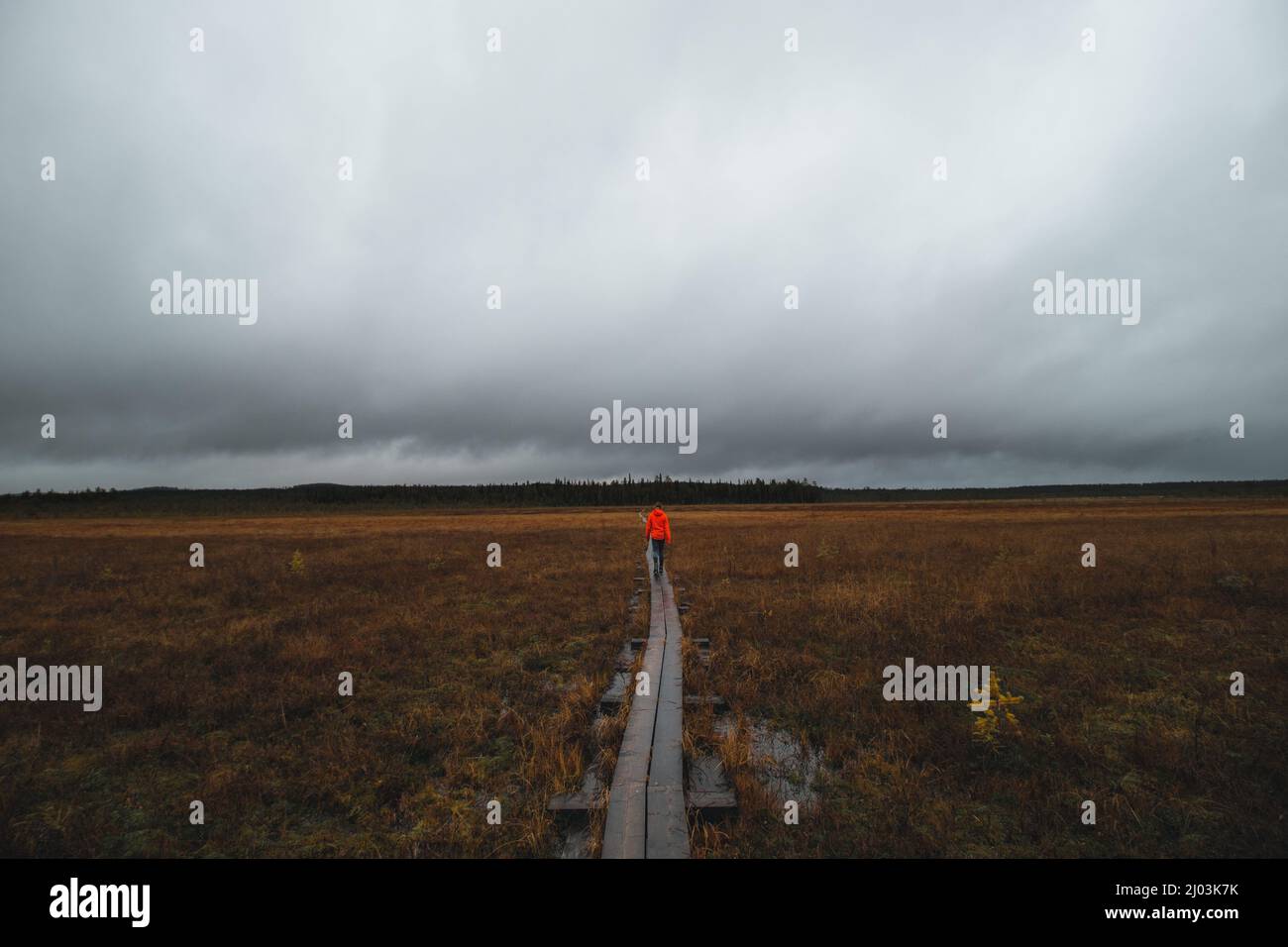 young woman wearing a red jacket walks along a wooden walkway in the ...