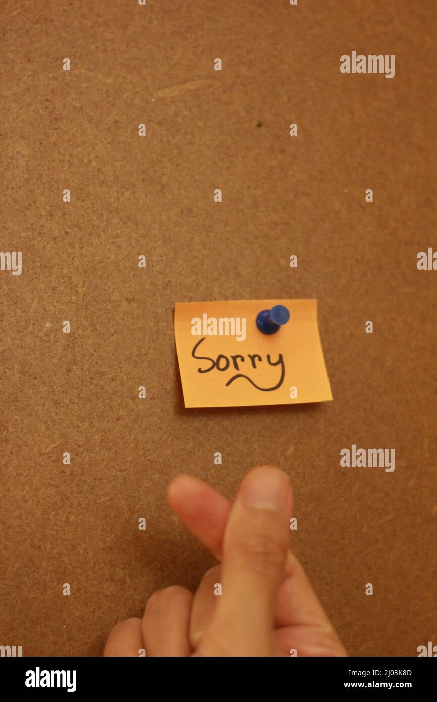 Sorry text written on sticky note concept designed with woman hand ...