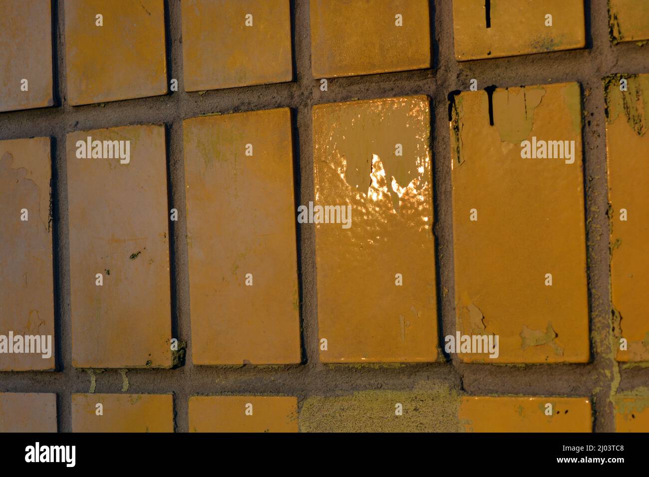 Unusual building materials hi-res stock photography and images - Alamy