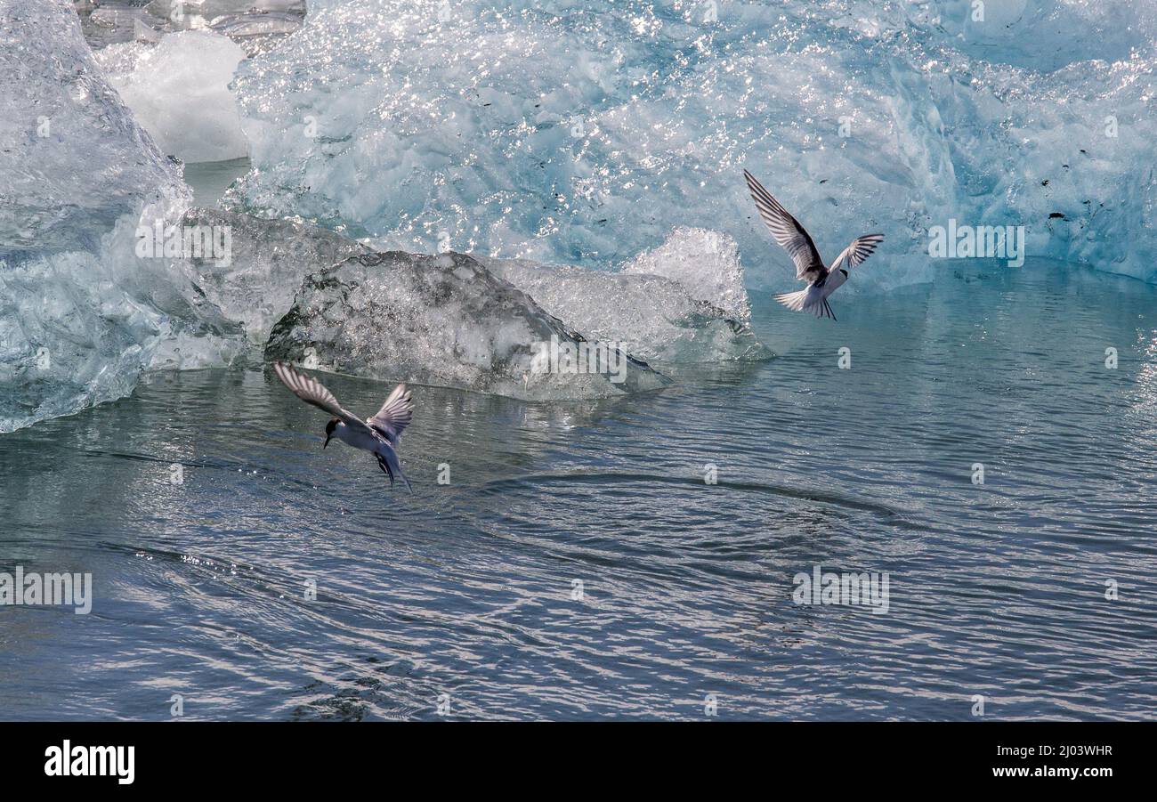 Flying over glacier in iceland hi-res stock photography and images - Alamy