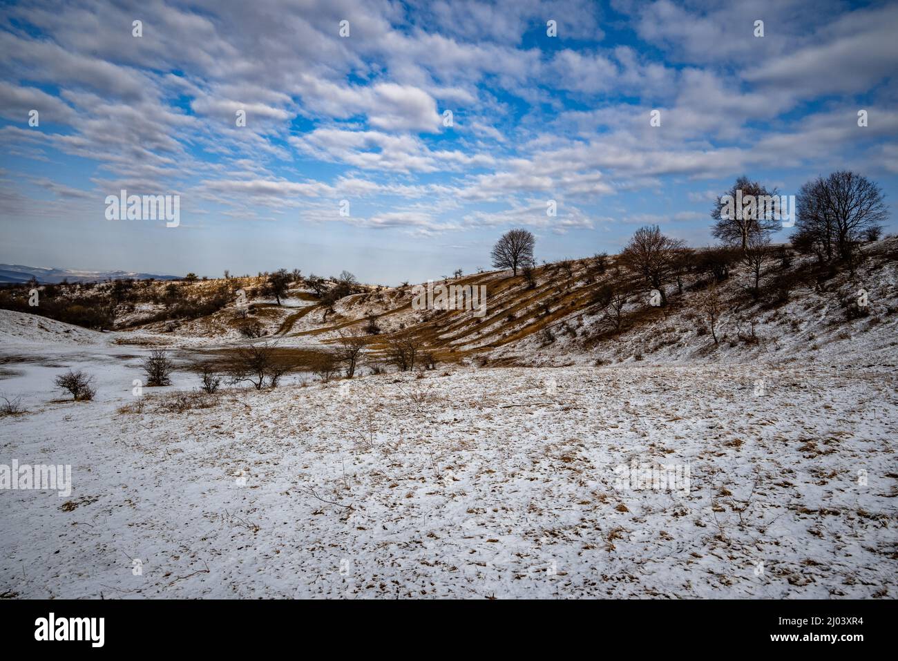 Landscape of snow cover of a hill and trees Stock Photo - Alamy