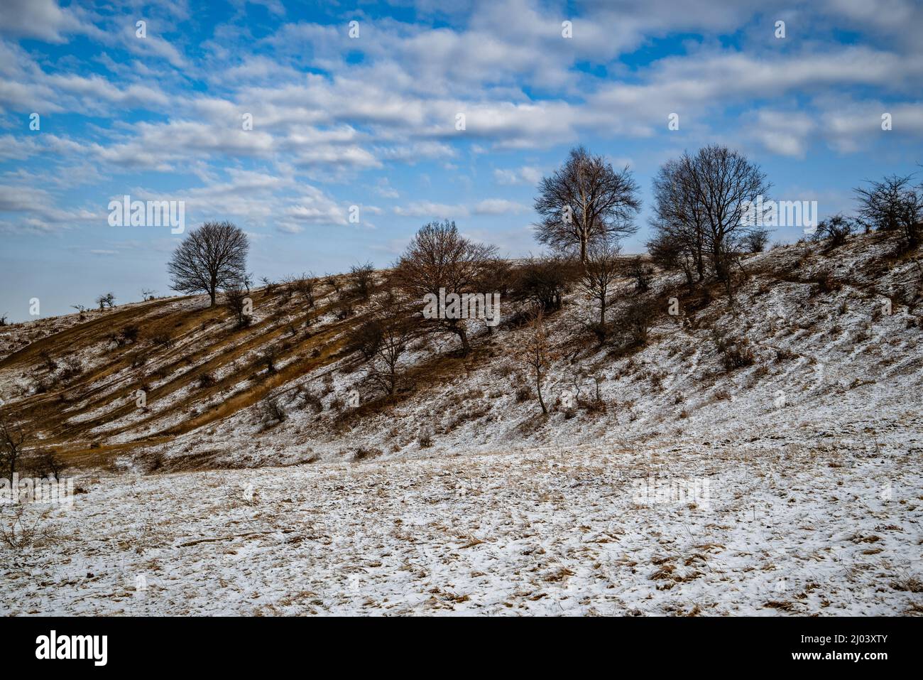 Landscape of snow cover of a hill and trees Stock Photo - Alamy