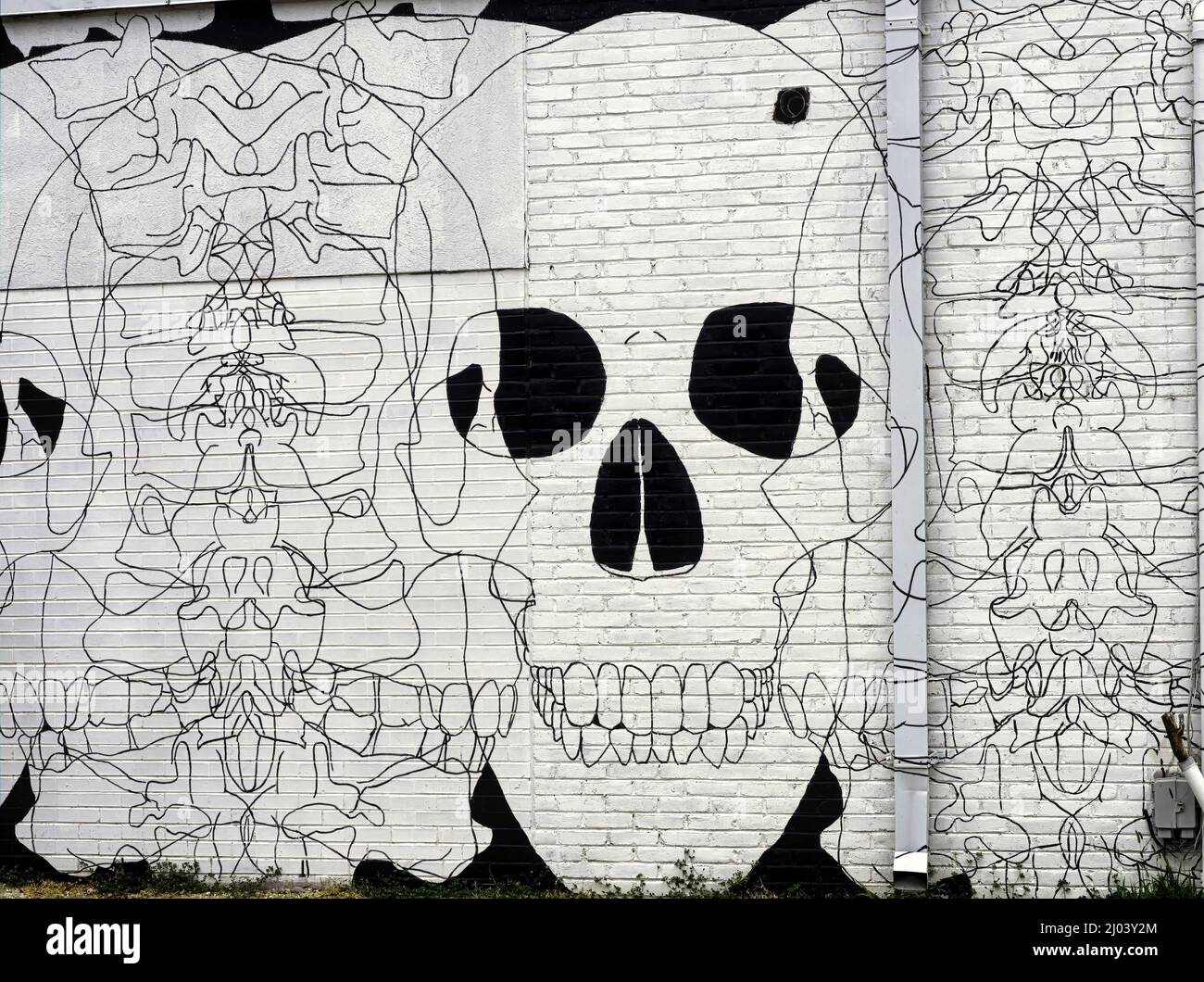 Creepy wall art of a skull on a white brick wall in Norfolk, Virginia ...