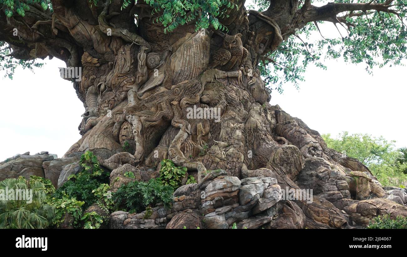 Orlando, FL USA -May 12, 2019: The Tree of Life at Animal Kingdom at ...