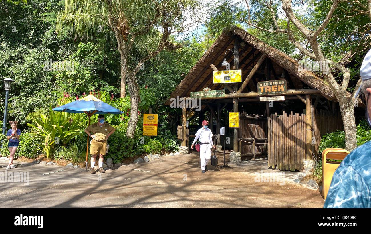 Animal Kingdom Safari Ride