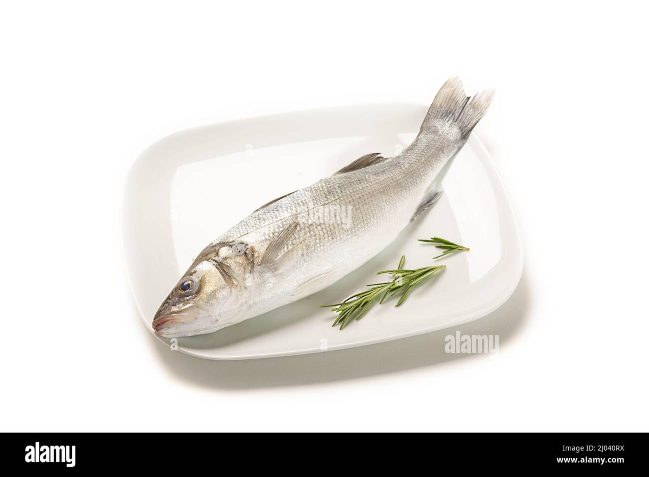 High angle shot of a fresh fish in a plate isolated on a white ...