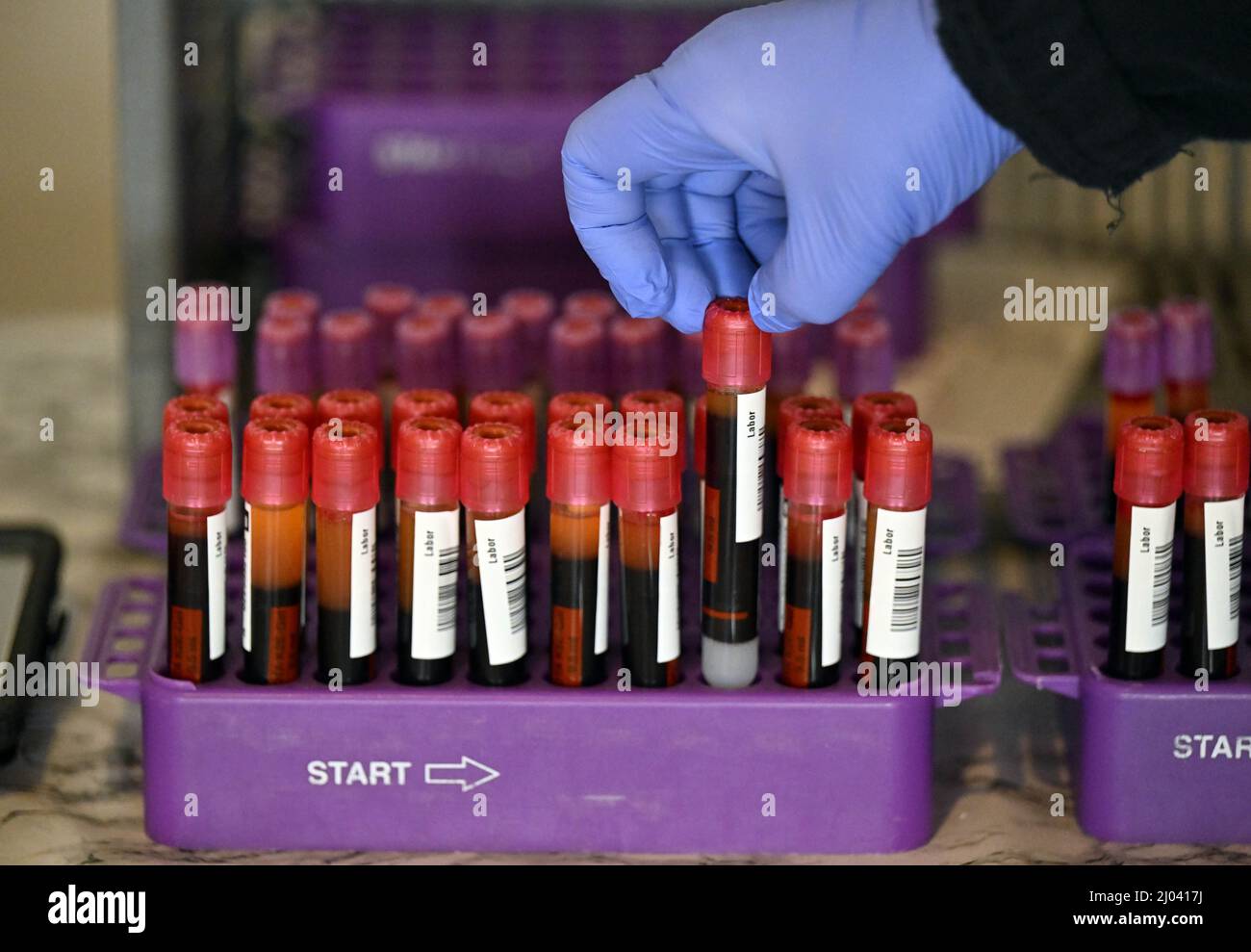 Erfurt, Germany. 28th Feb, 2022. Blood samples stand side by side at a ...
