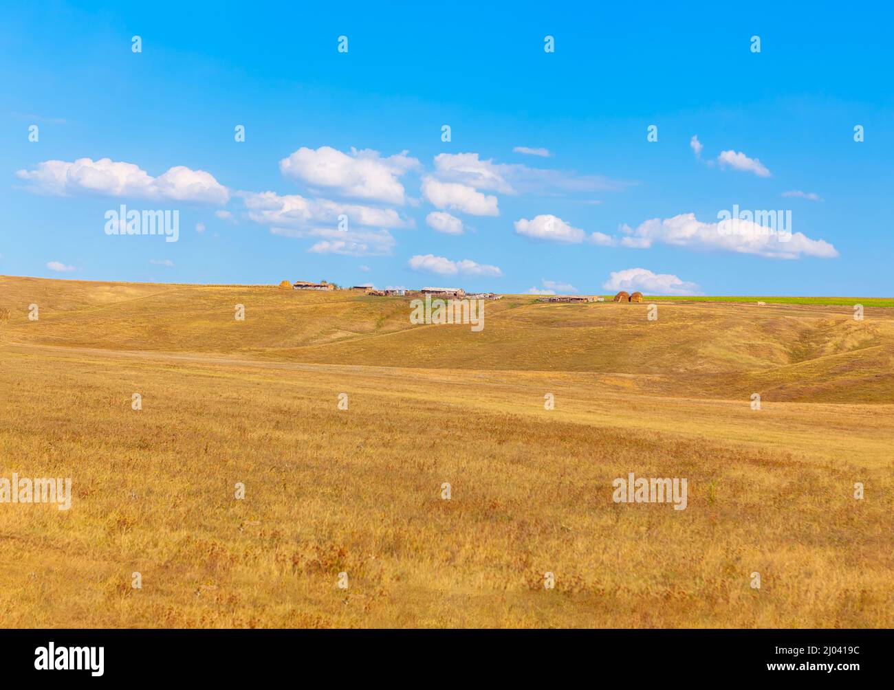 Farm on the hill landscape . Rustic Summer Meadow Stock Photo - Alamy