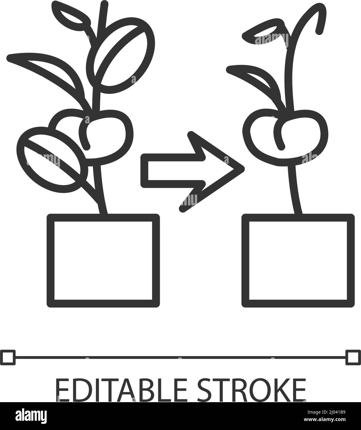 Withered plant linear icon Stock Vector Image & Art - Alamy