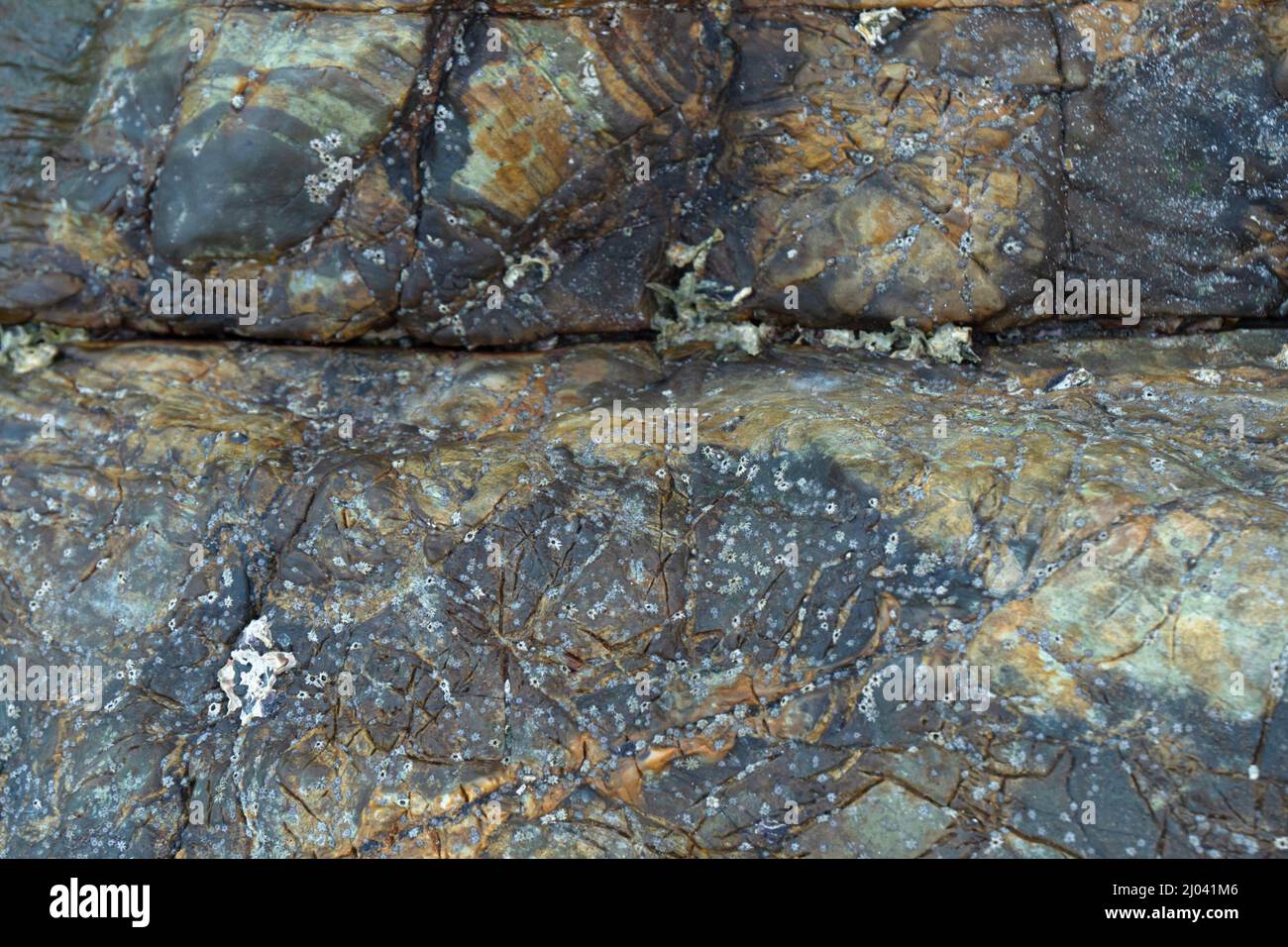 Stone wall background. High quality photo Stock Photo - Alamy