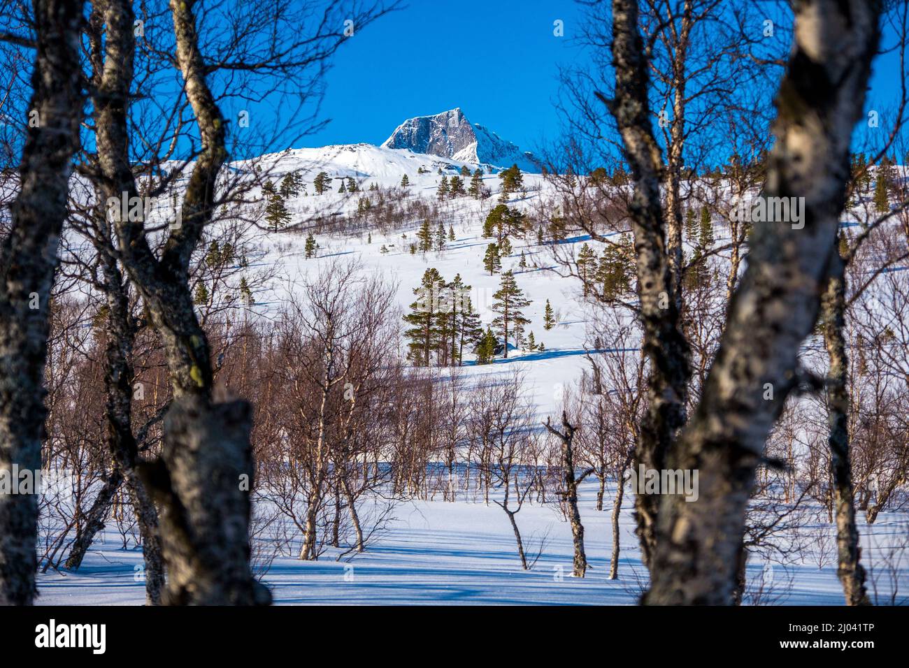 Snota mountain in the Trollheim region of Norway in winter Stock Photo ...