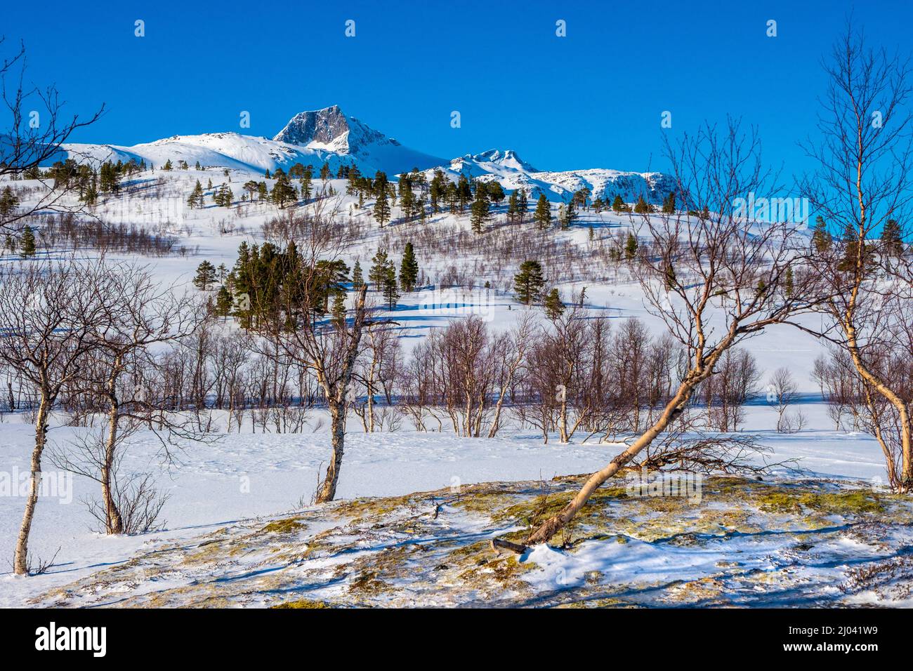 Snota hi-res stock photography and images - Alamy