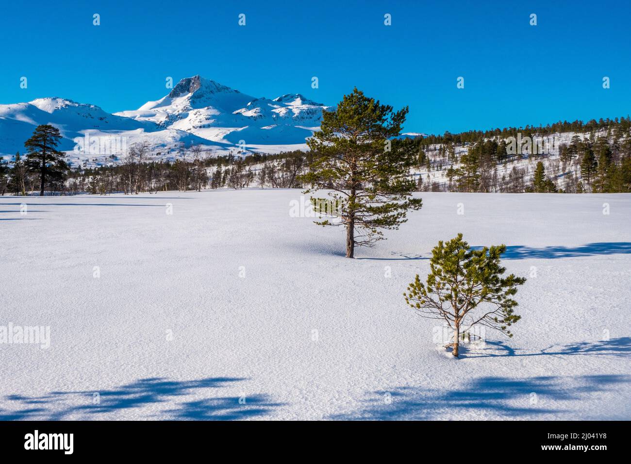 Snota mountain in the Trollheim region of Norway in winter Stock Photo ...