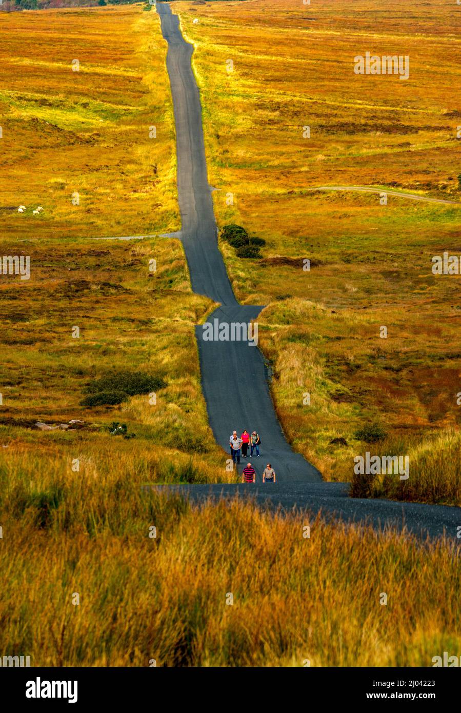 Walking at Lough Salt Mountain, County Donegal, Ireland Stock Photo - Alamy
