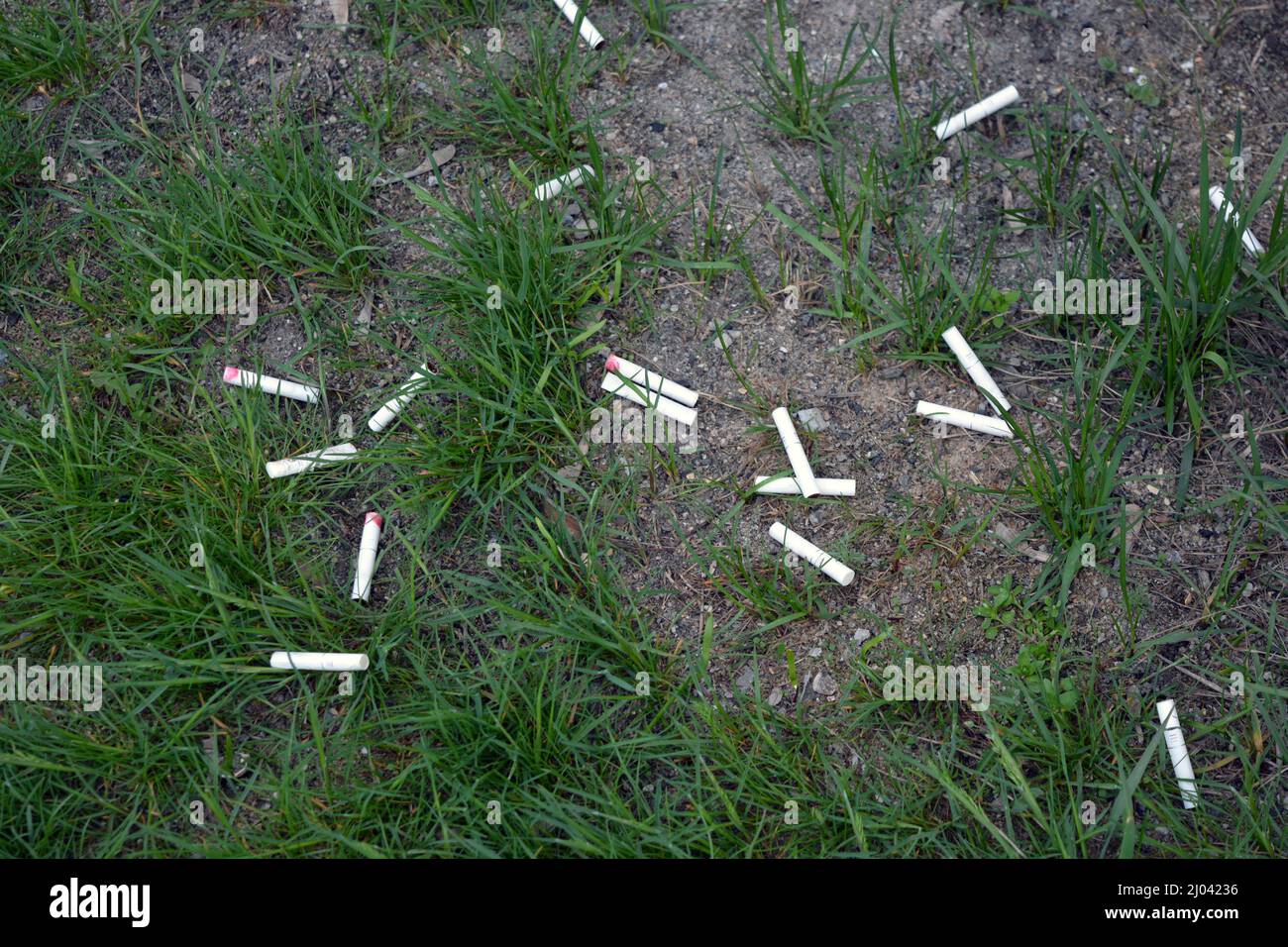 Lifestyle, smoking that kills health. A lot of half-smoked cigarettes ...