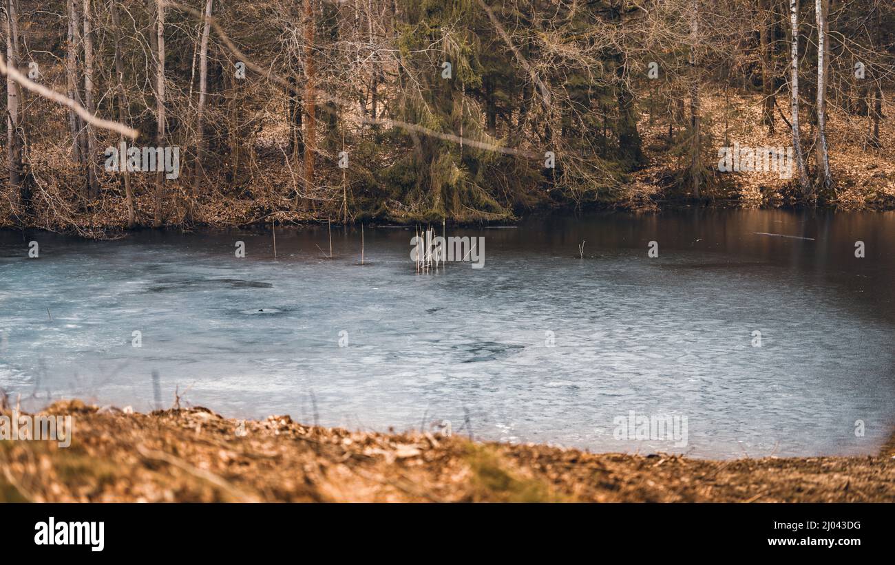 Small frozen lake in the forest on a cold day Stock Photo - Alamy
