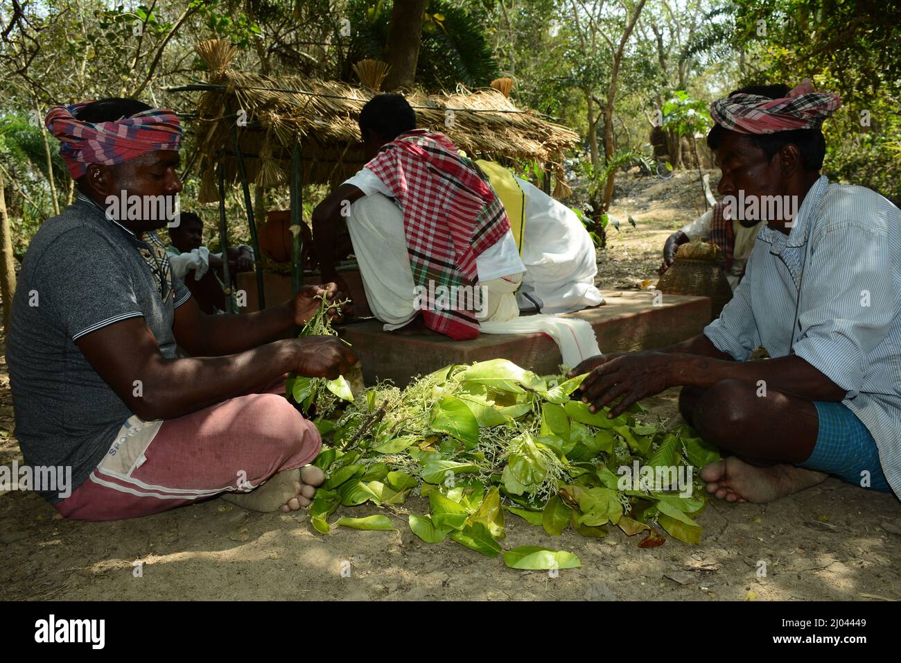 Santiniketan, India. 15th Mar, 2022. Baha the flower festival of Santal ...