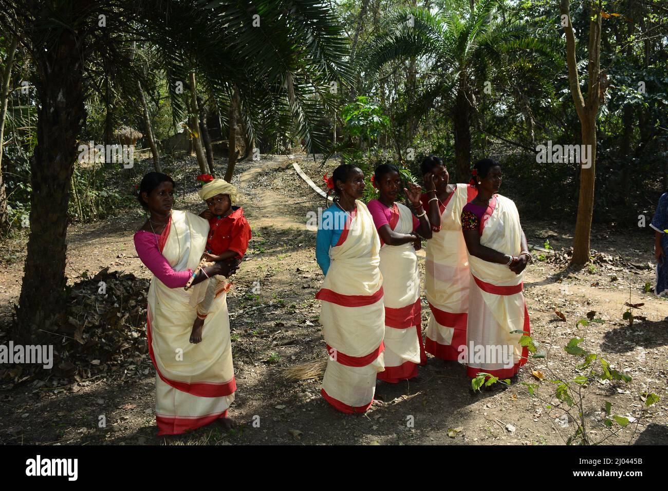 Santiniketan, India. 15th Mar, 2022. Baha the flower festival of Santal ...