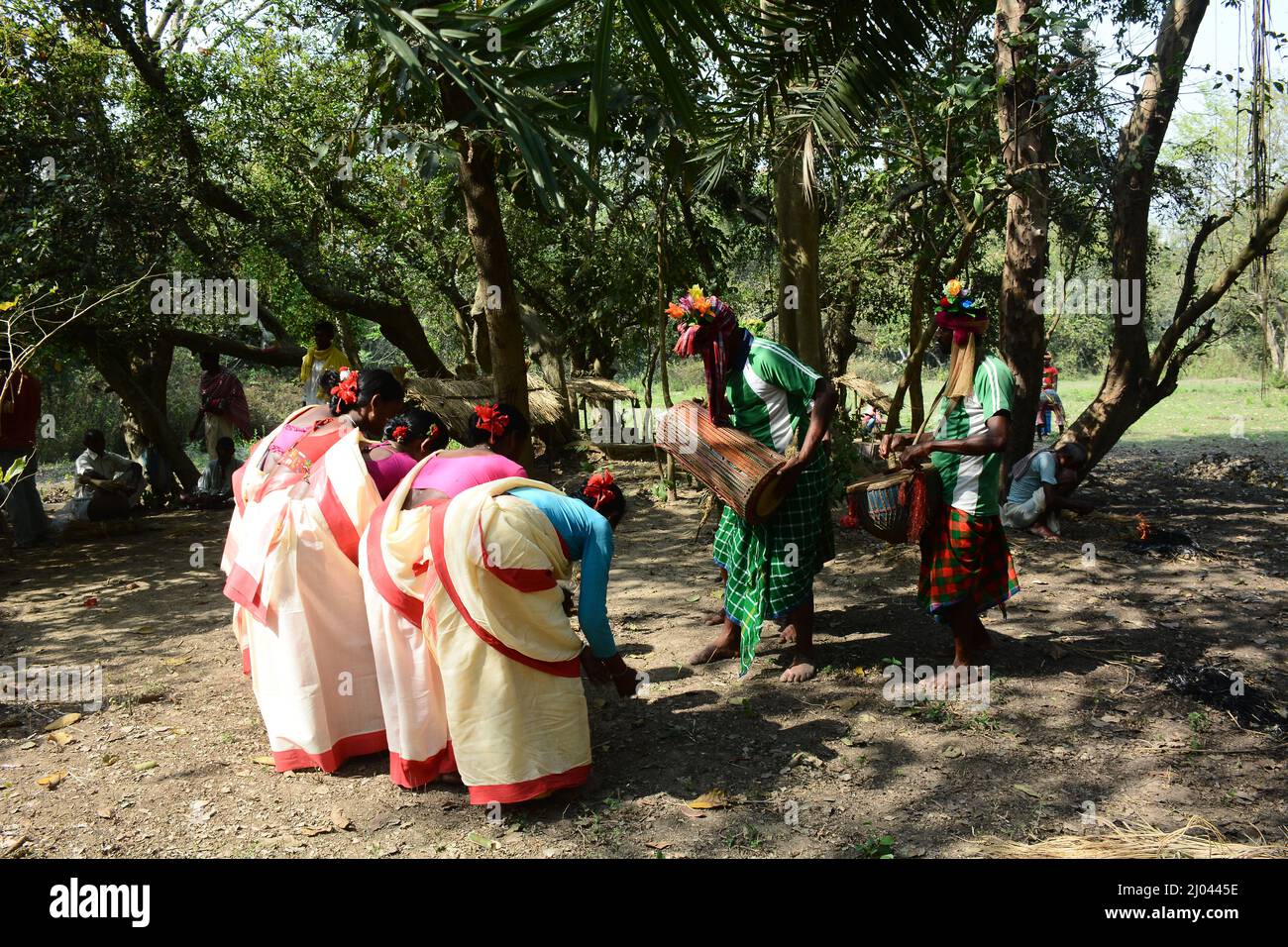 Santiniketan, India. 15th Mar, 2022. Baha the flower festival of Santal ...