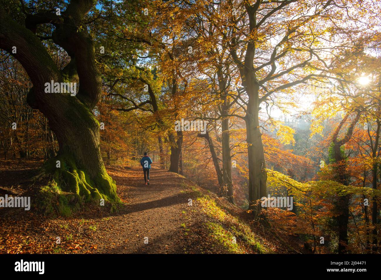 Autumn at Barnetts Park, Malone House, Belfast, Northern Ireland Stock ...