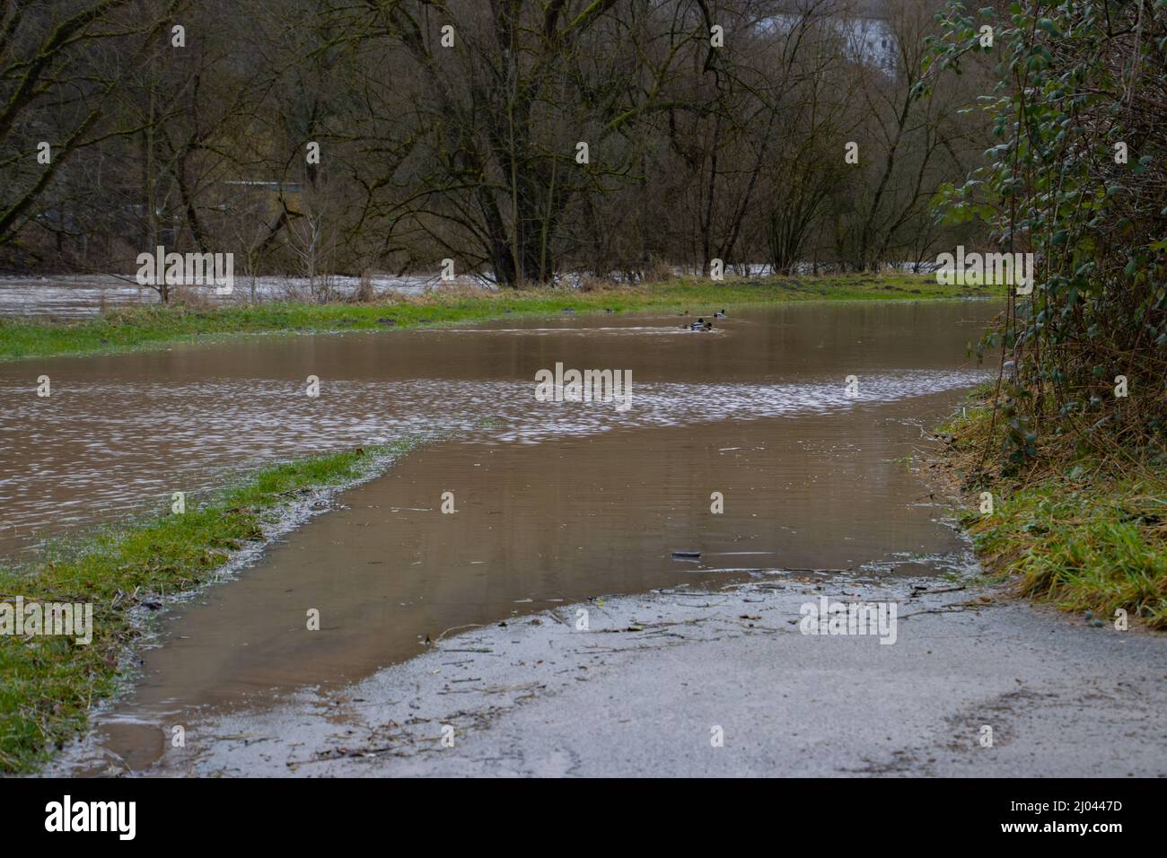 Flooded road after heavy rain Stock Photo - Alamy