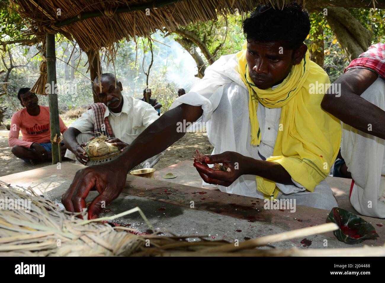 Santiniketan, India. 15th Mar, 2022. Baha the flower festival of Santal ...