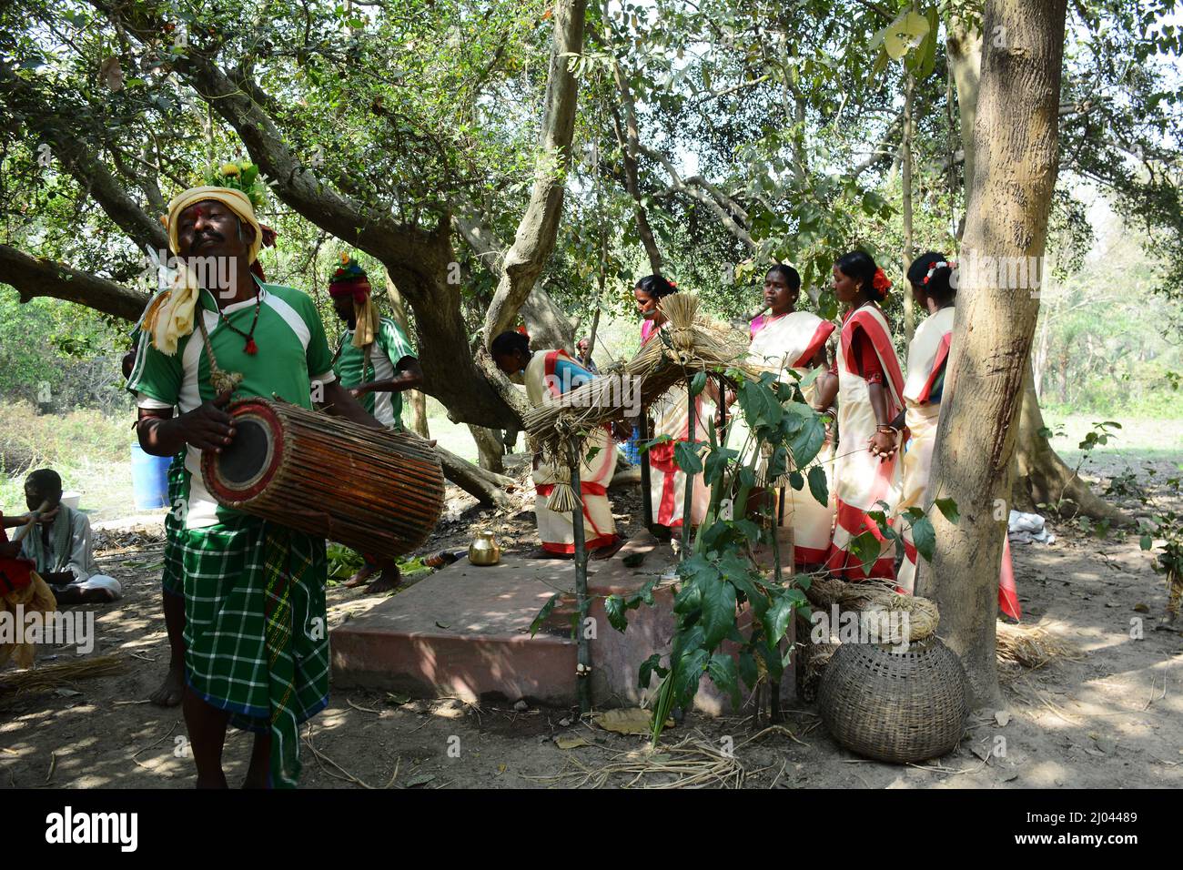 Santiniketan, India. 15th Mar, 2022. Baha the flower festival of Santal ...