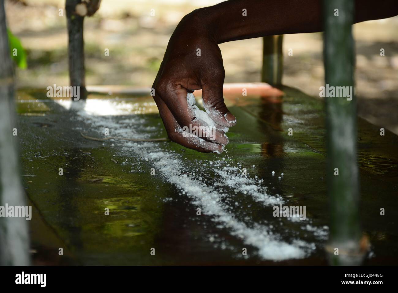 Santiniketan, India. 15th Mar, 2022. Baha the flower festival of Santal ...