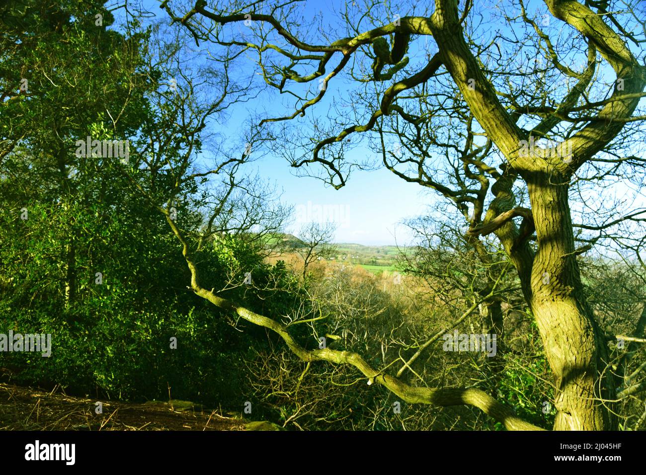 A walk along the Sandstone trail in Cheshire UK on a lovely spring ...