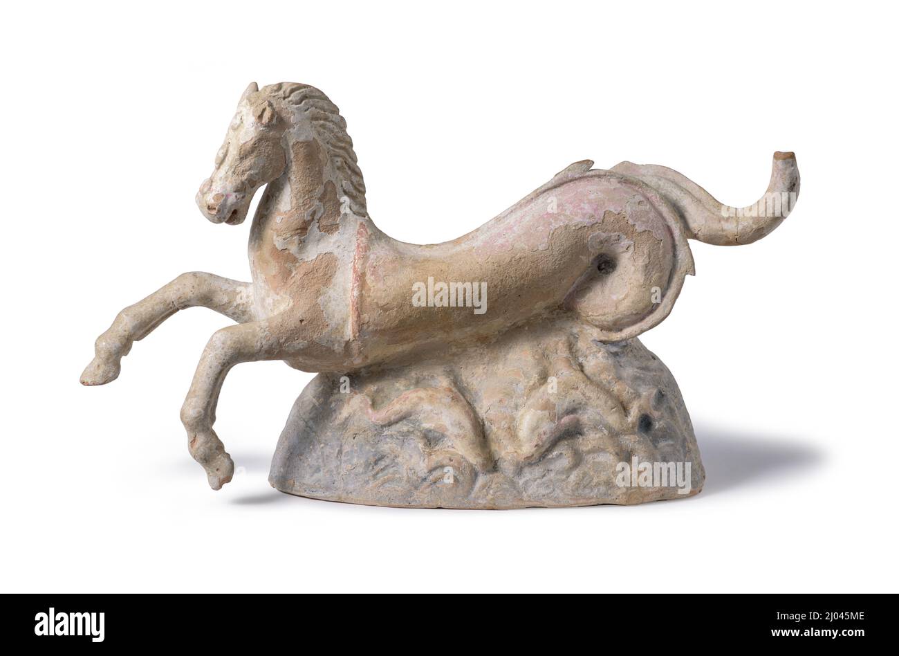Hippocamp hi-res stock photography and images - Alamy