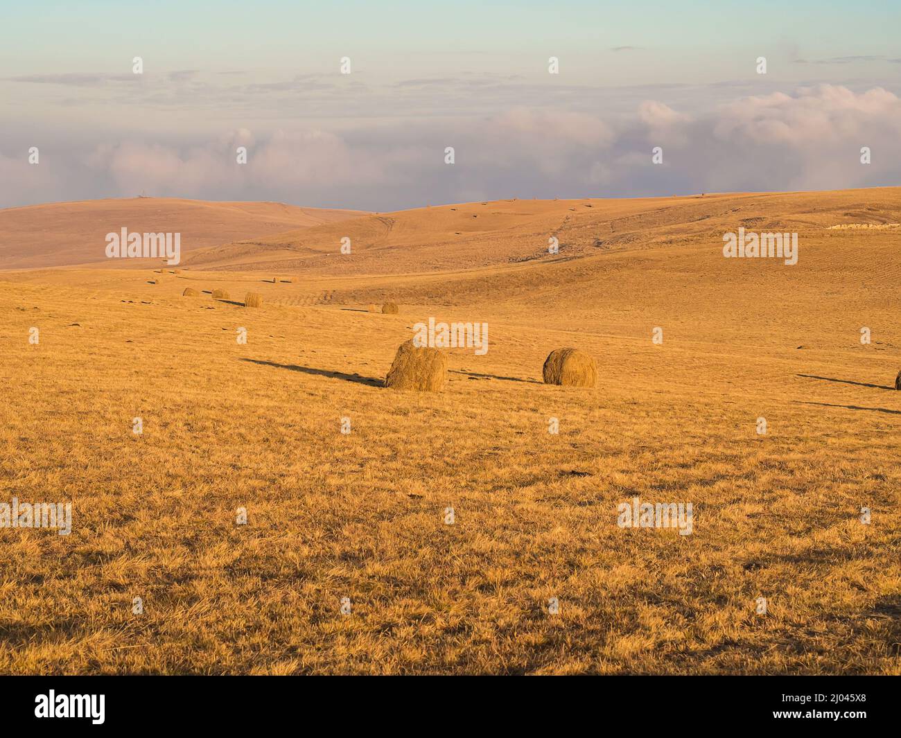 Golden haystacks in autumn field located on the mountains at the height ...