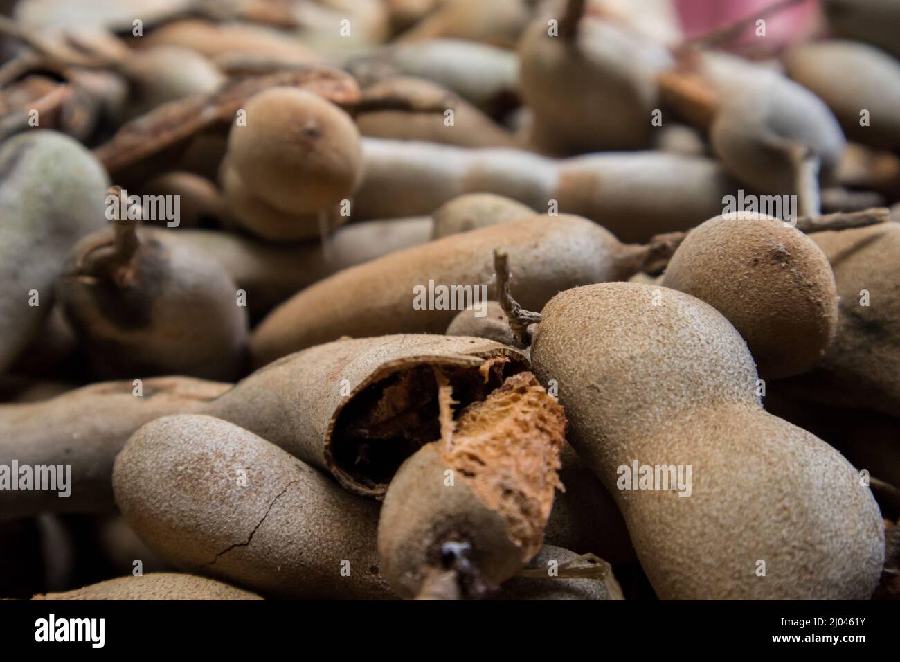 Tamarind harvested from the plant and placed in a stack Stock Photo - Alamy