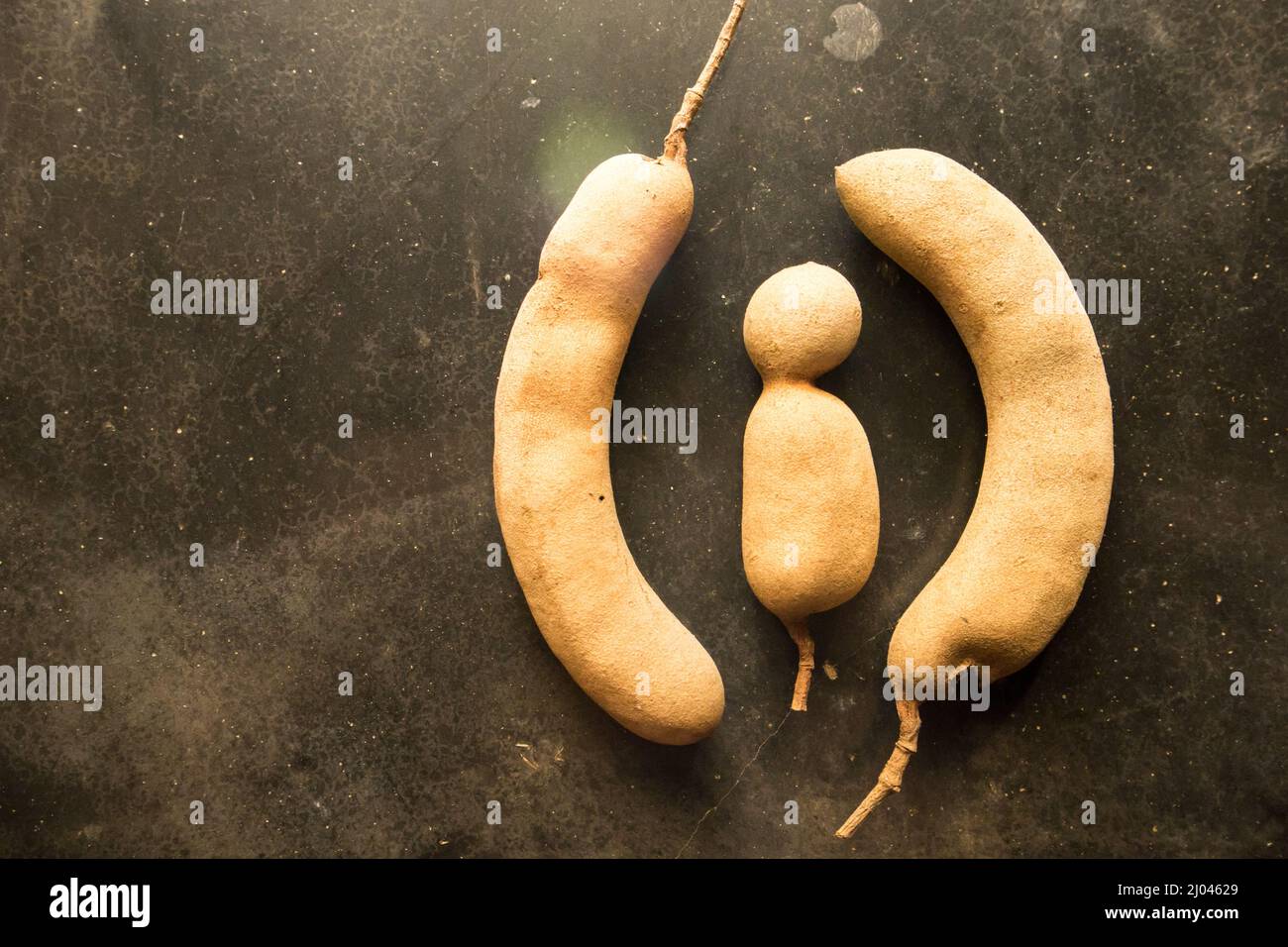 Three tamarind placed beautifully on floor in the sunlight Stock Photo ...