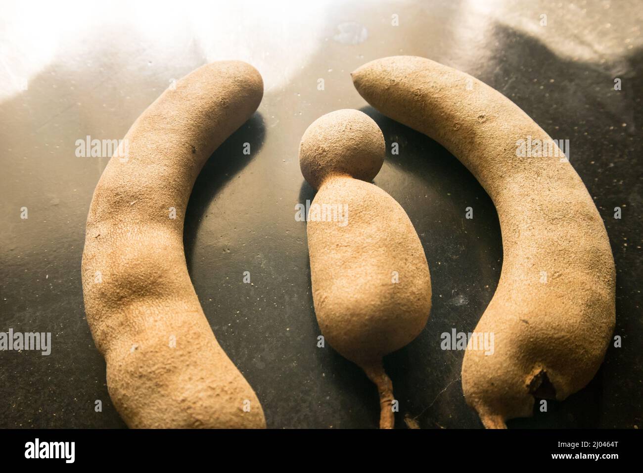 Three tamarind placed beautifully on floor in the sunlight Stock Photo ...