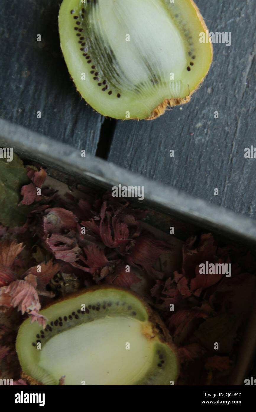 Kiwi in vintage style hi-res stock photography and images - Alamy