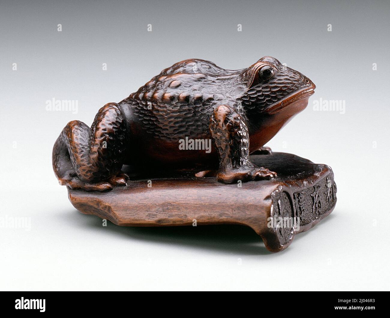 Frog on roof tile hi-res stock photography and images - Alamy