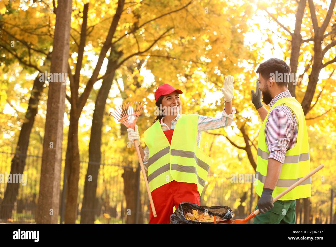 Workers giving each other high-five while gathering autumn leaves ...