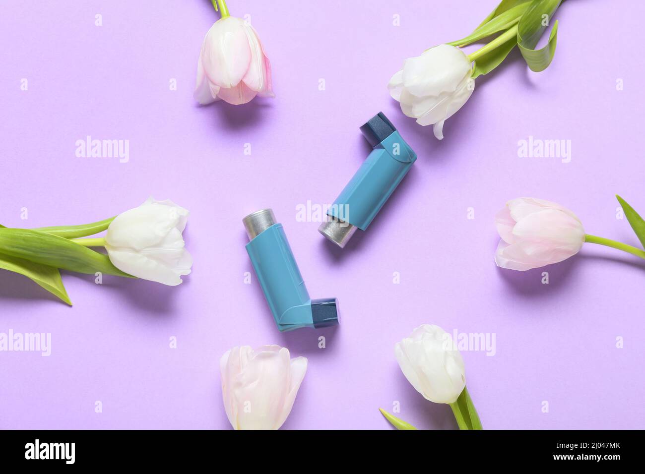 Composition with beautiful tulip flowers ad inhalers on lilac ...