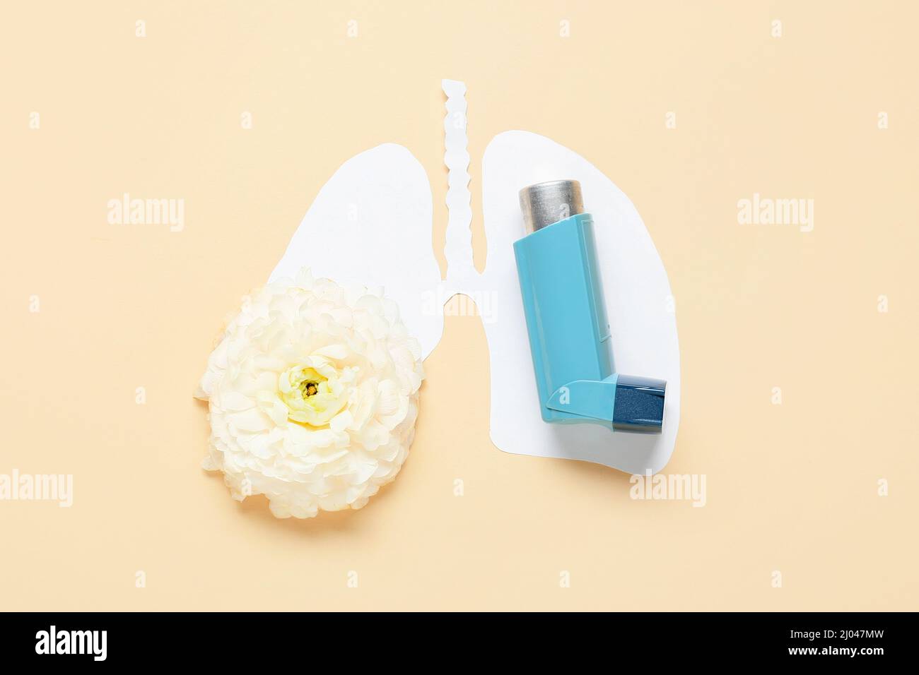 Composition with paper lungs, inhaler and flower on color background ...