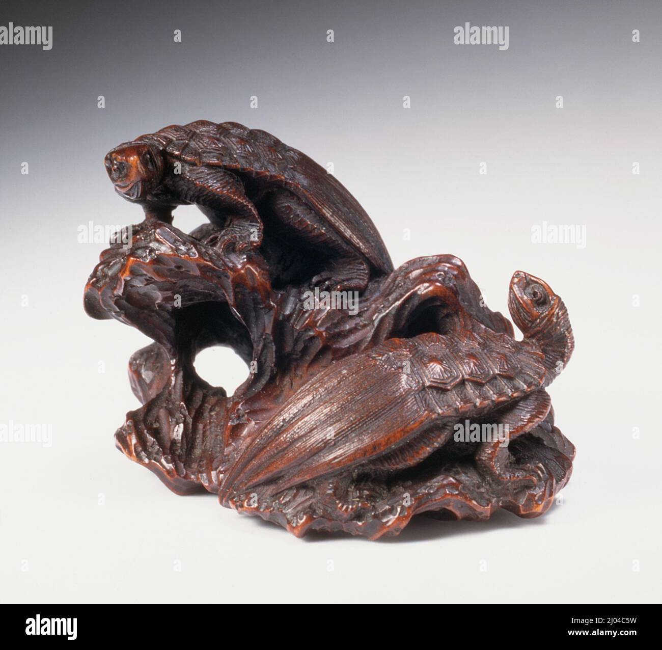 Long-Tailed Sea Turtles on Craggy Rock. Shūgetsu III (Japan, active ...