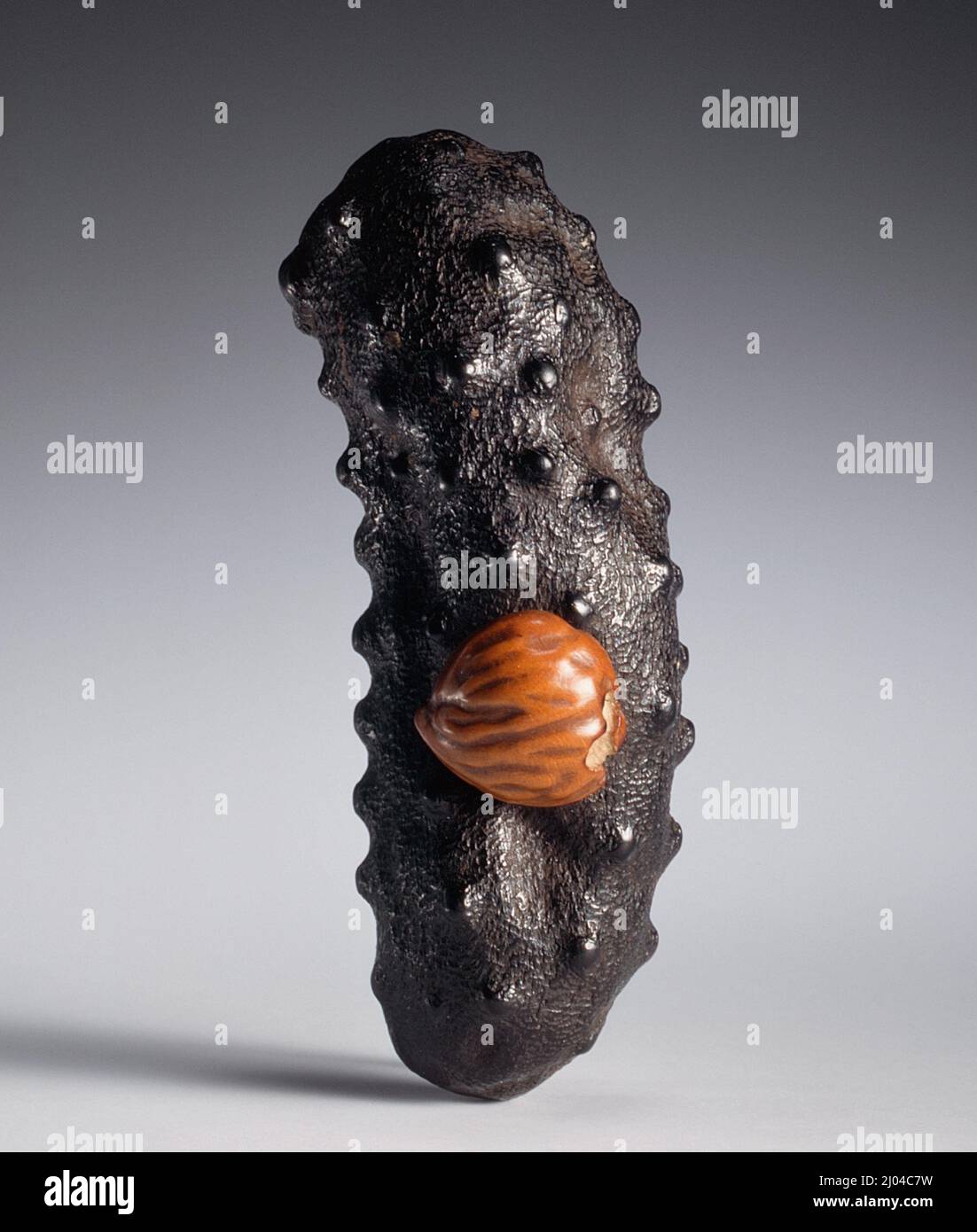 Sea Cucumber and Chestnut: Edible Treasures. Ōhara Mitsuhiro (Japan ...