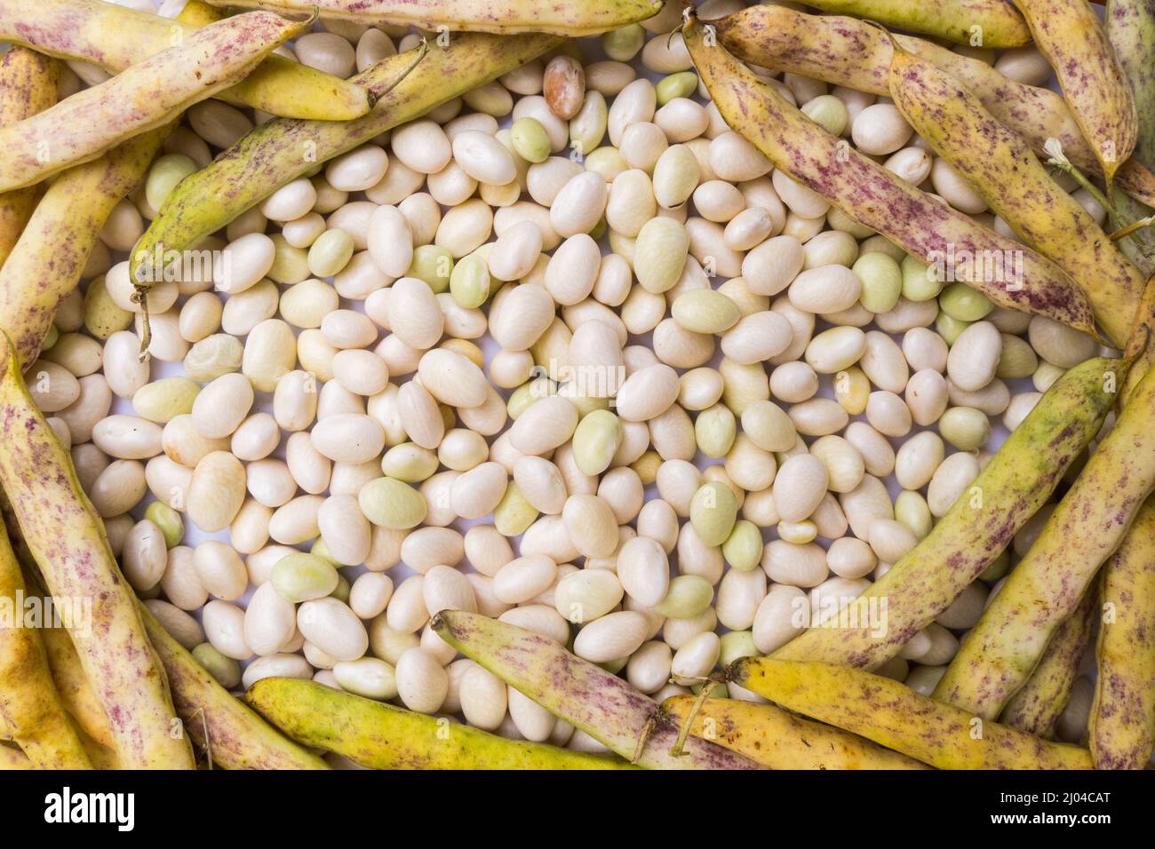 Coco pod hi-res stock photography and images - Alamy