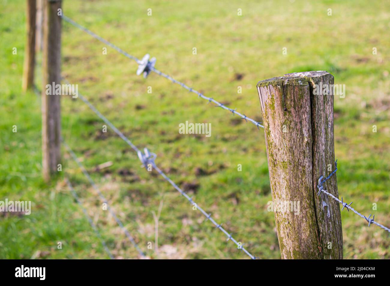 Closeup of a wooden post wrapped in barbed wire in the farm Stock Photo ...
