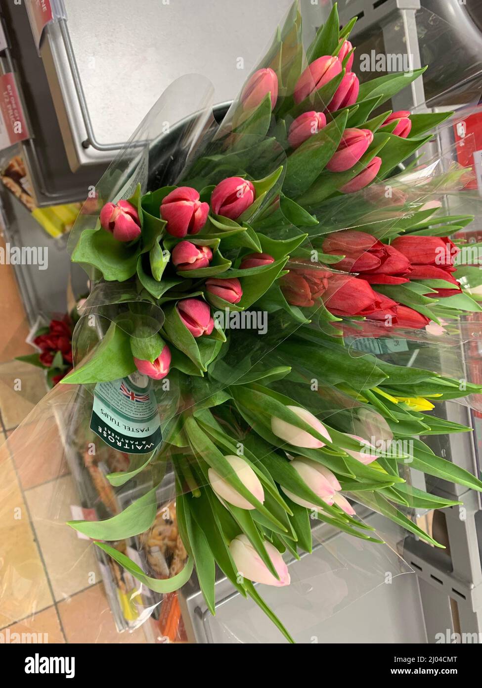 feline bouquet pink red and yellow tulips in Waitrose Rushden ...