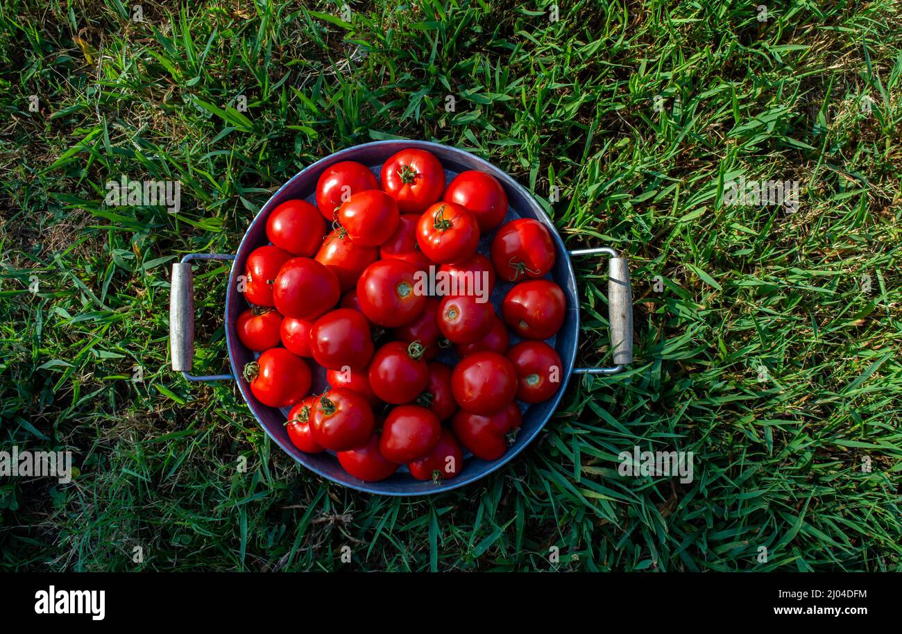 Ripe red mouth watering hi-res stock photography and images - Alamy